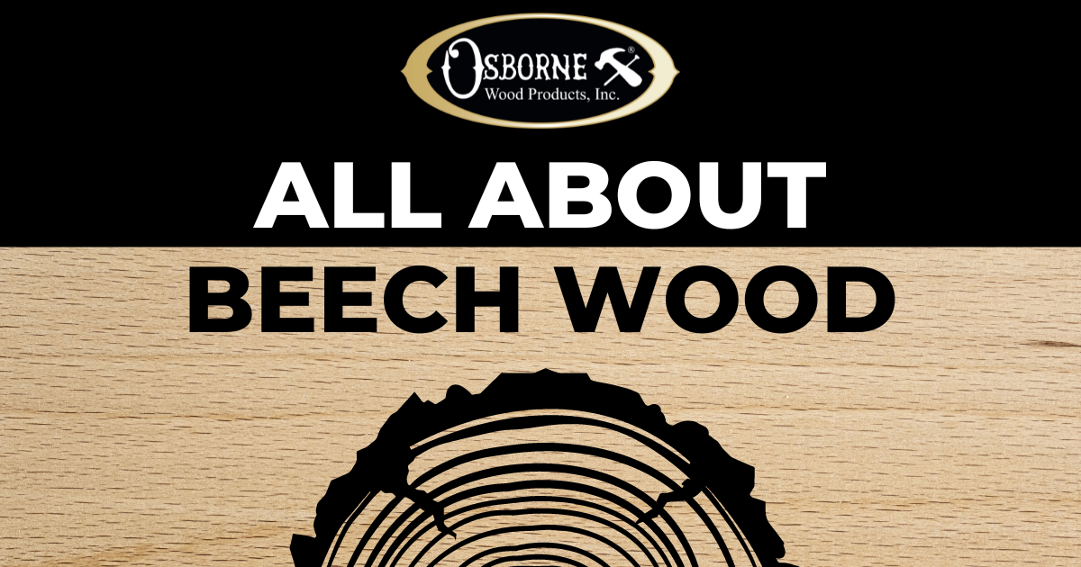 Beech Wood Furniture Durability